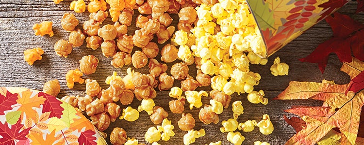 Popcorn Gifts | Gourmet Popcorn Gift Baskets | The Popcorn Factory